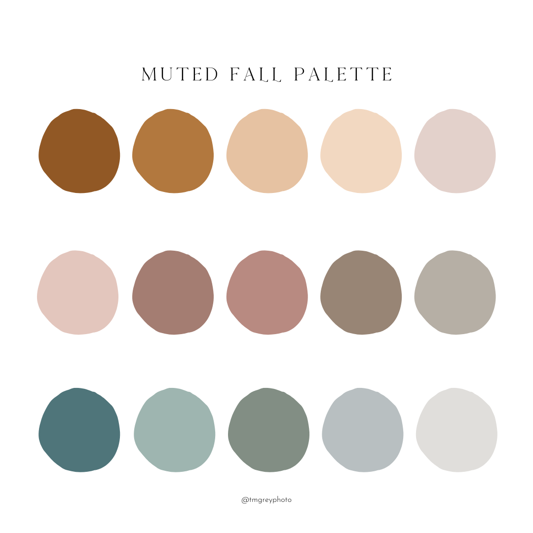 Picking the Best Color Palettes for Photos - TM Grey Photo